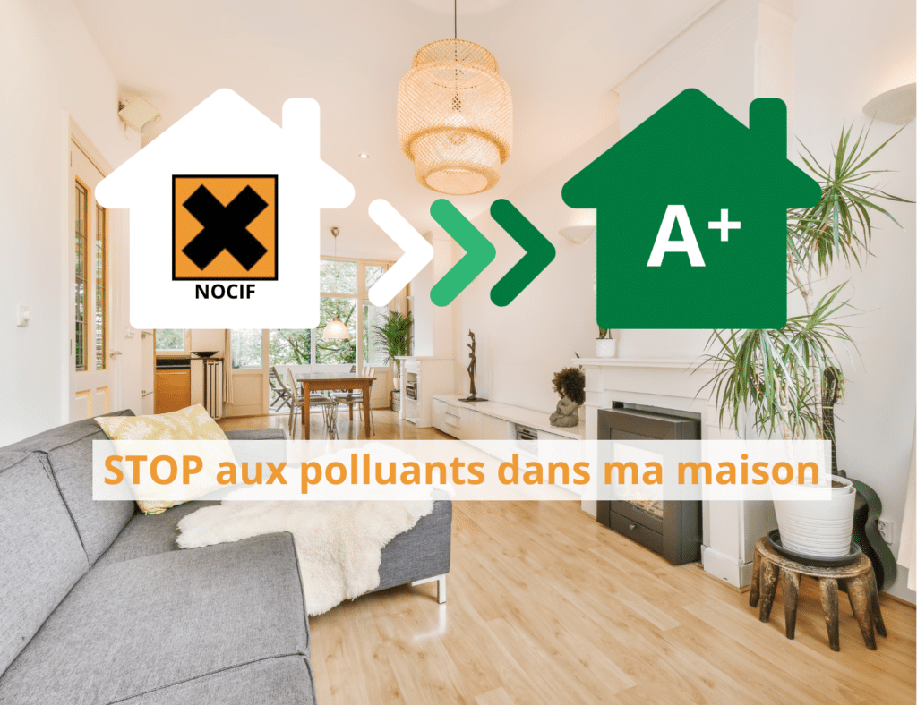 Pollution de l'air intérieur des habitations et santé - Ateliers Nona